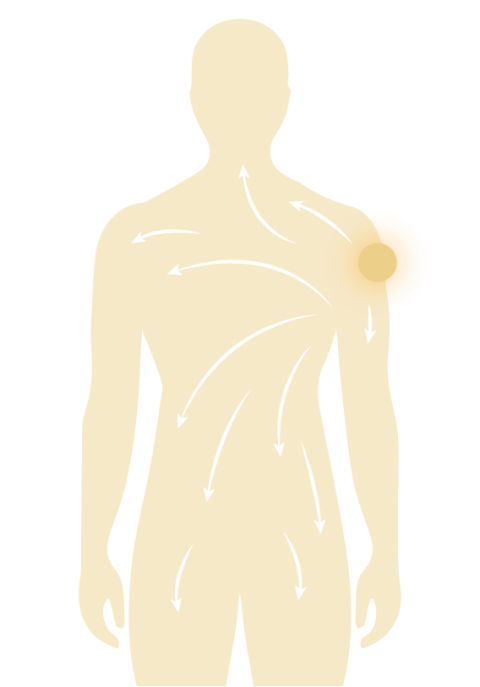 Technology - HDT Bio